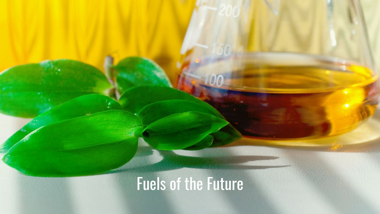 A Look at Producing Biodiesel | Alliance for Innovation and Infrastructure